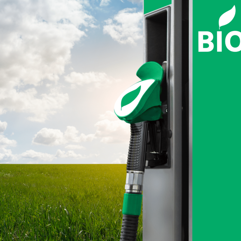 Biofuels Research - Transportation Energy Institute